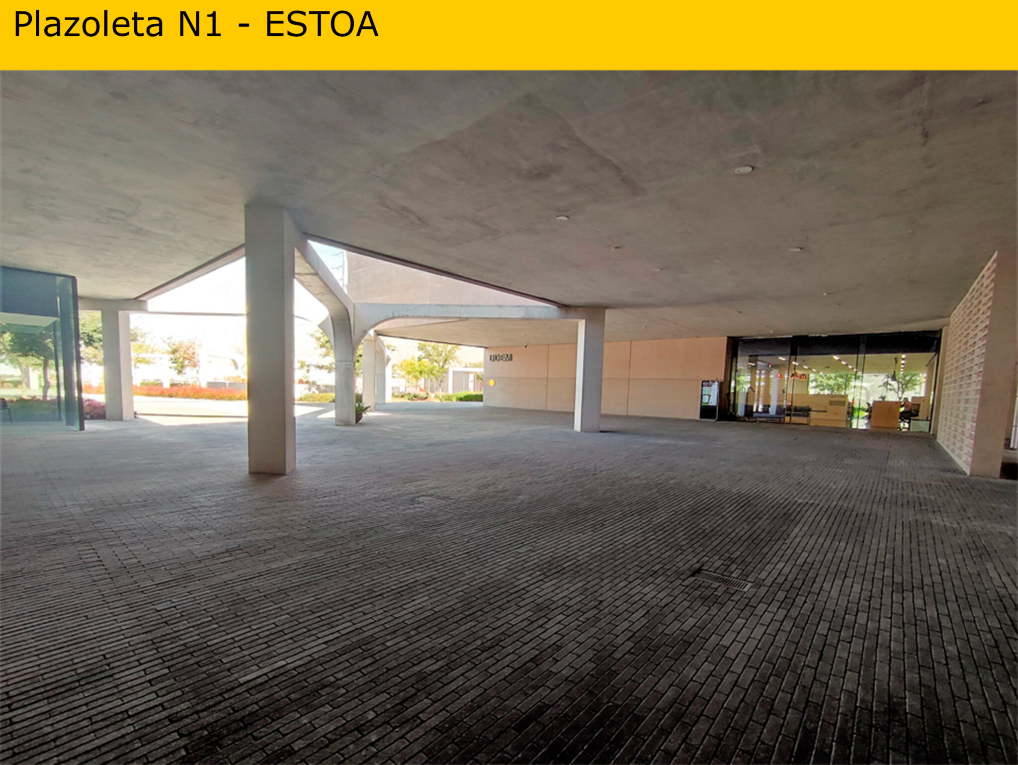 Plazoleta N1 ESTOA – UDEM DICO